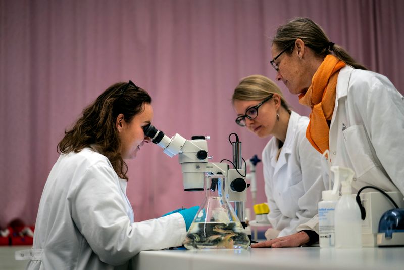 126 millioner kroner til nye FRIPRO-prosjekter