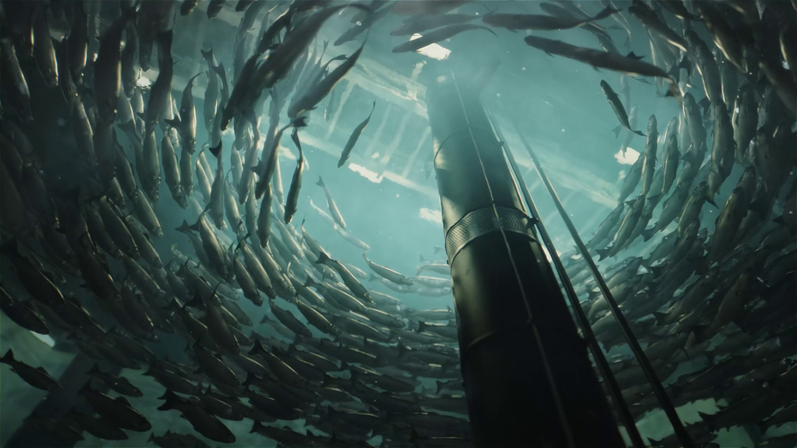 SkatteFUNN-midler har bidratt til eventyrlig vekst hos Nofitech