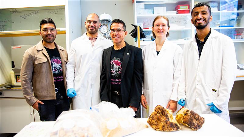 Hvordan avfall kan bli til mat og nye produkter: historien om MUSA